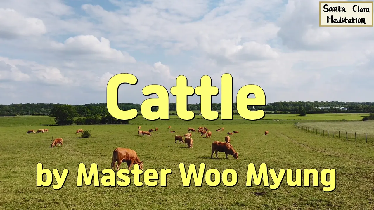 Cattle – Meditation Poetry by Master Woo Myung