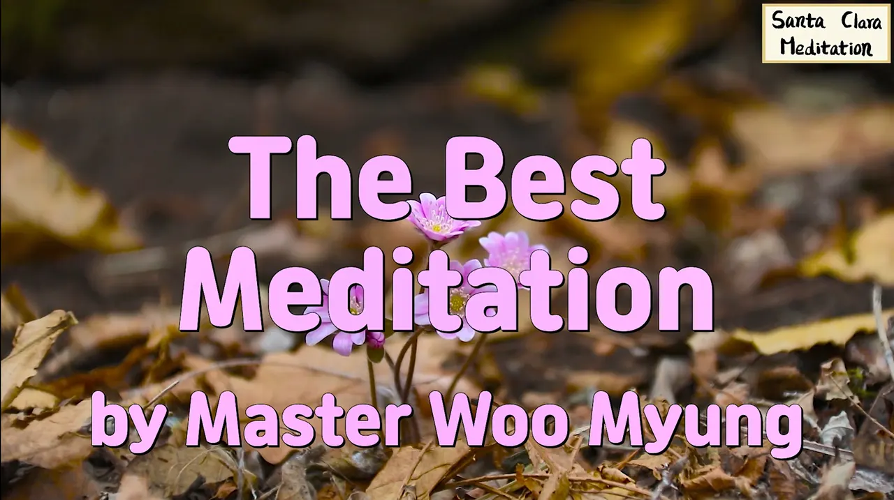 The Best Meditation – Master Woo Myung