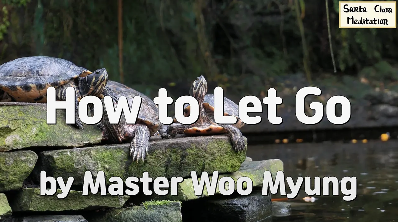 How to Let Go – Master Woo Myung | Santa Clara Meditation