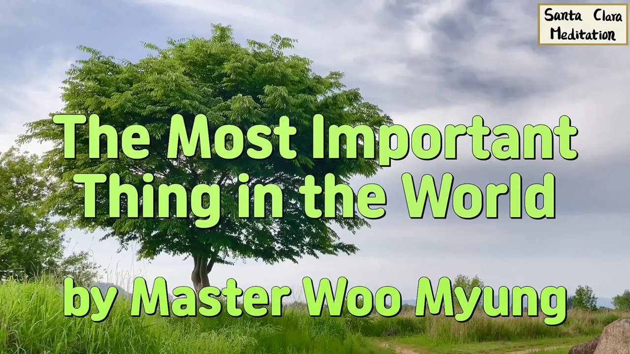 The Most Important Thing in the World – Master Woo Myung