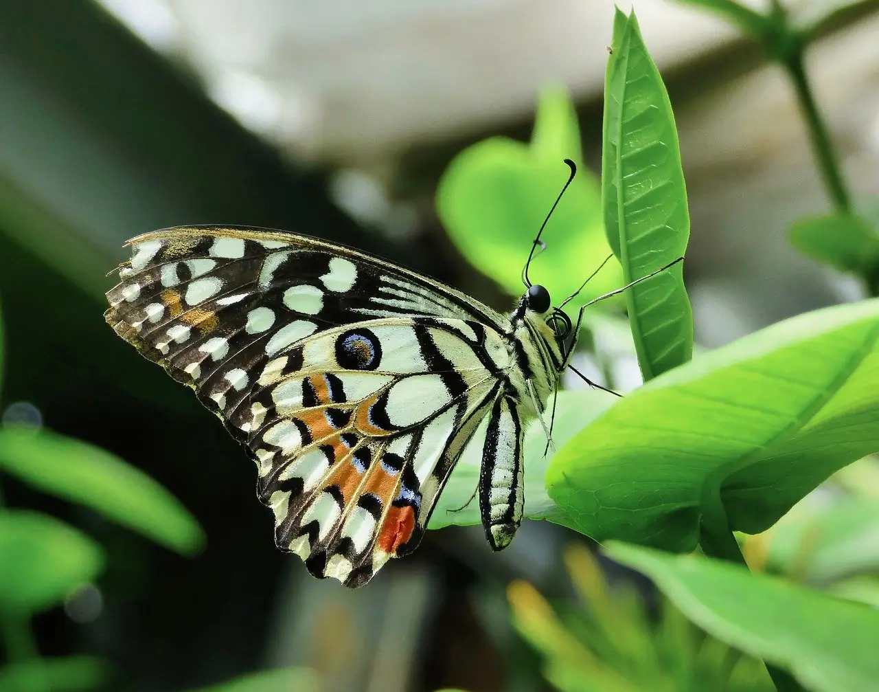 🌿 “I Wanted to Live Well” – A Deeply Honest Review of Master Woo Myung ...