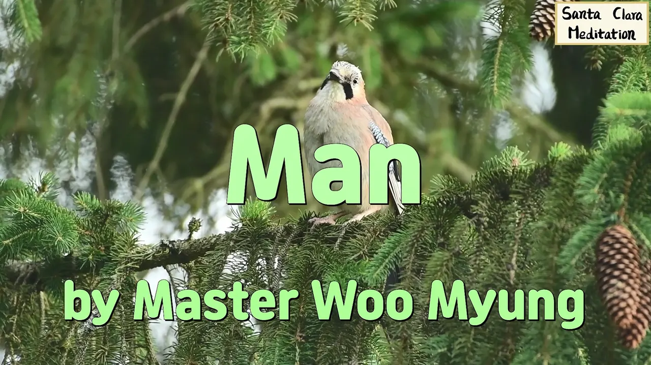 Man: Heaven, Earth, and Human Are One – Master Woo Myung