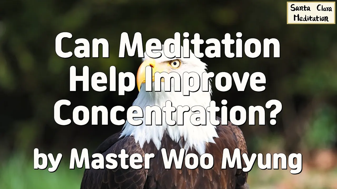 Can Meditation Help Improve Concentration? – Master Woo Myung