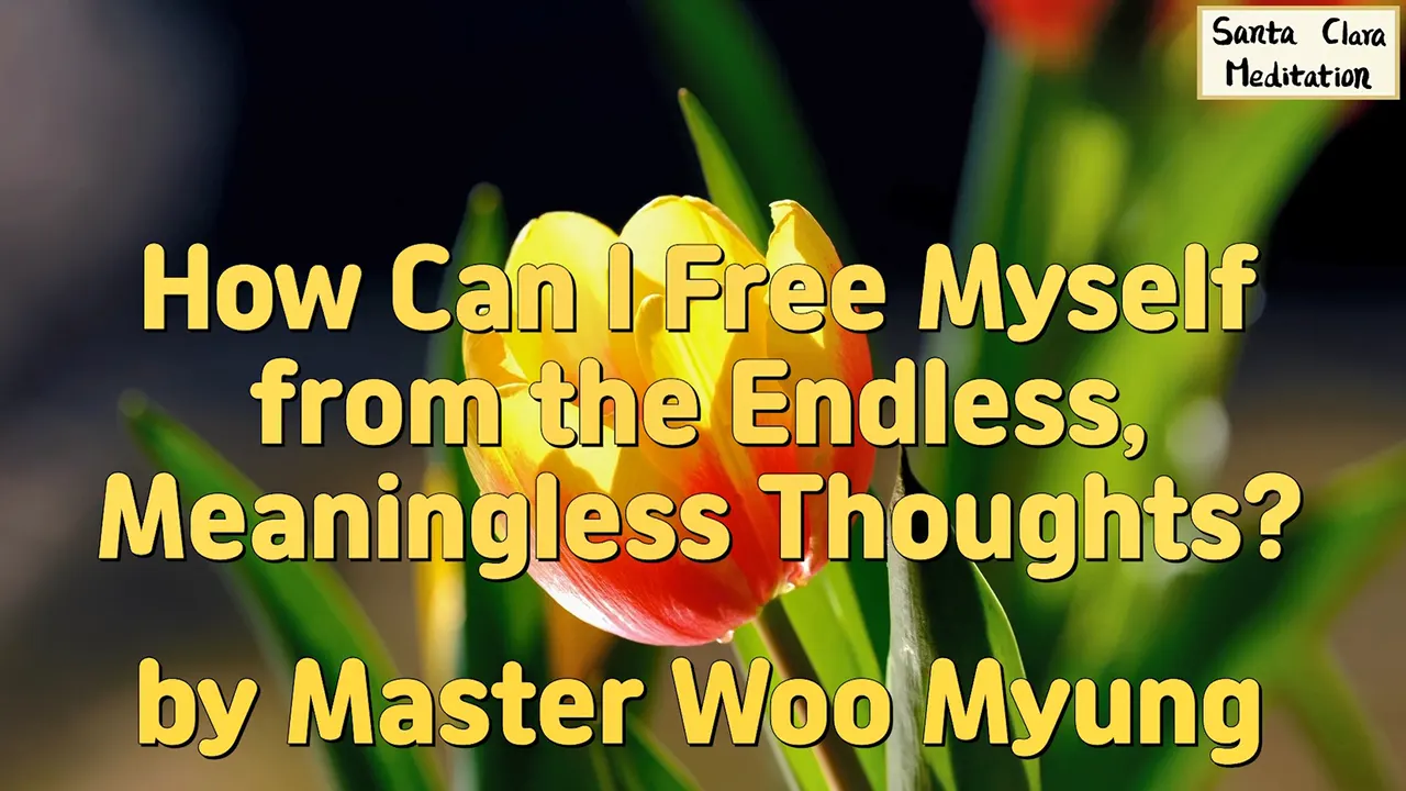 How to Free Yourself from Meaningless Thoughts – Master Woo Myung