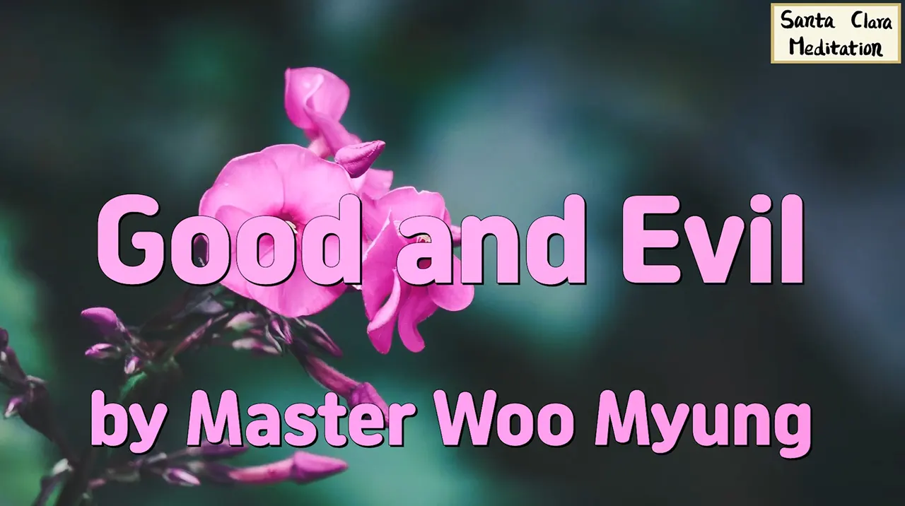Good and Evil: What Defines Them in Truth – Master Woo Myung