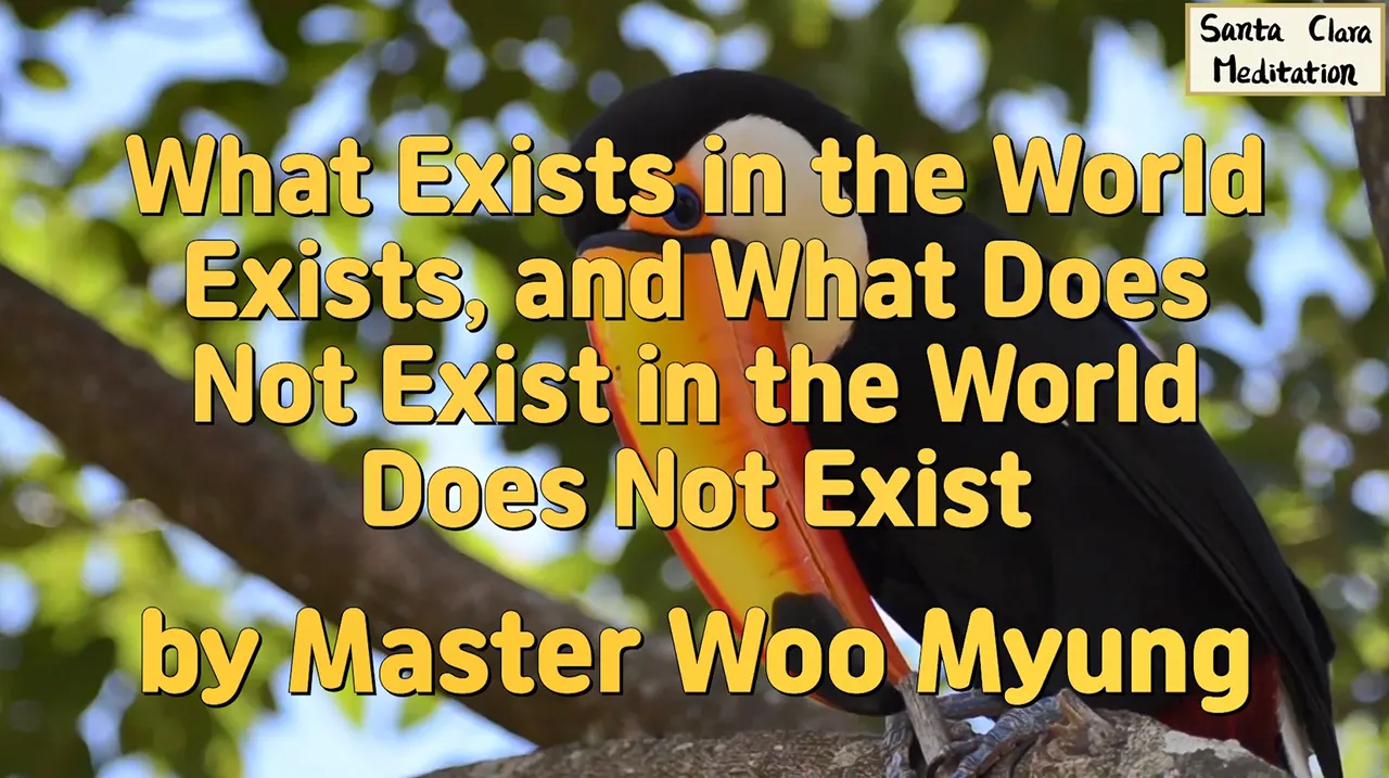 What Exists in the World Exists – Master Woo Myung