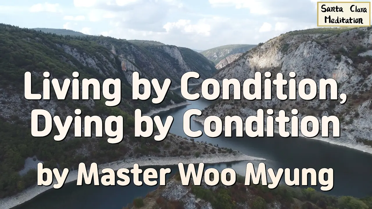 Living by Condition, Dying by Condition – Master Woo Myung