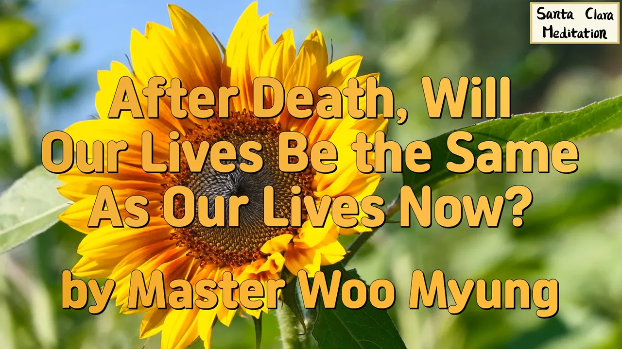 🌅 After Death, Will Life Be the Same?: Rebirth into the Land of Truth ...