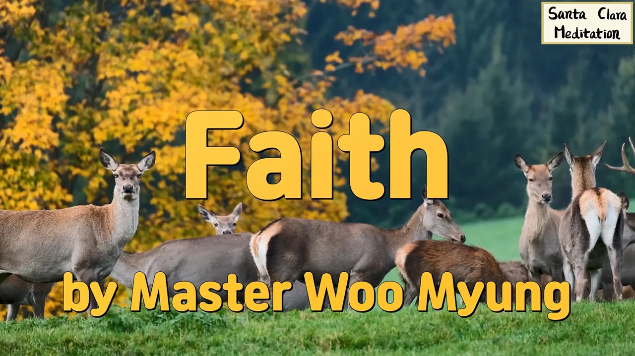 🌞 What Is True Faith? Conviction Beyond Belief – Teachings by Master ...