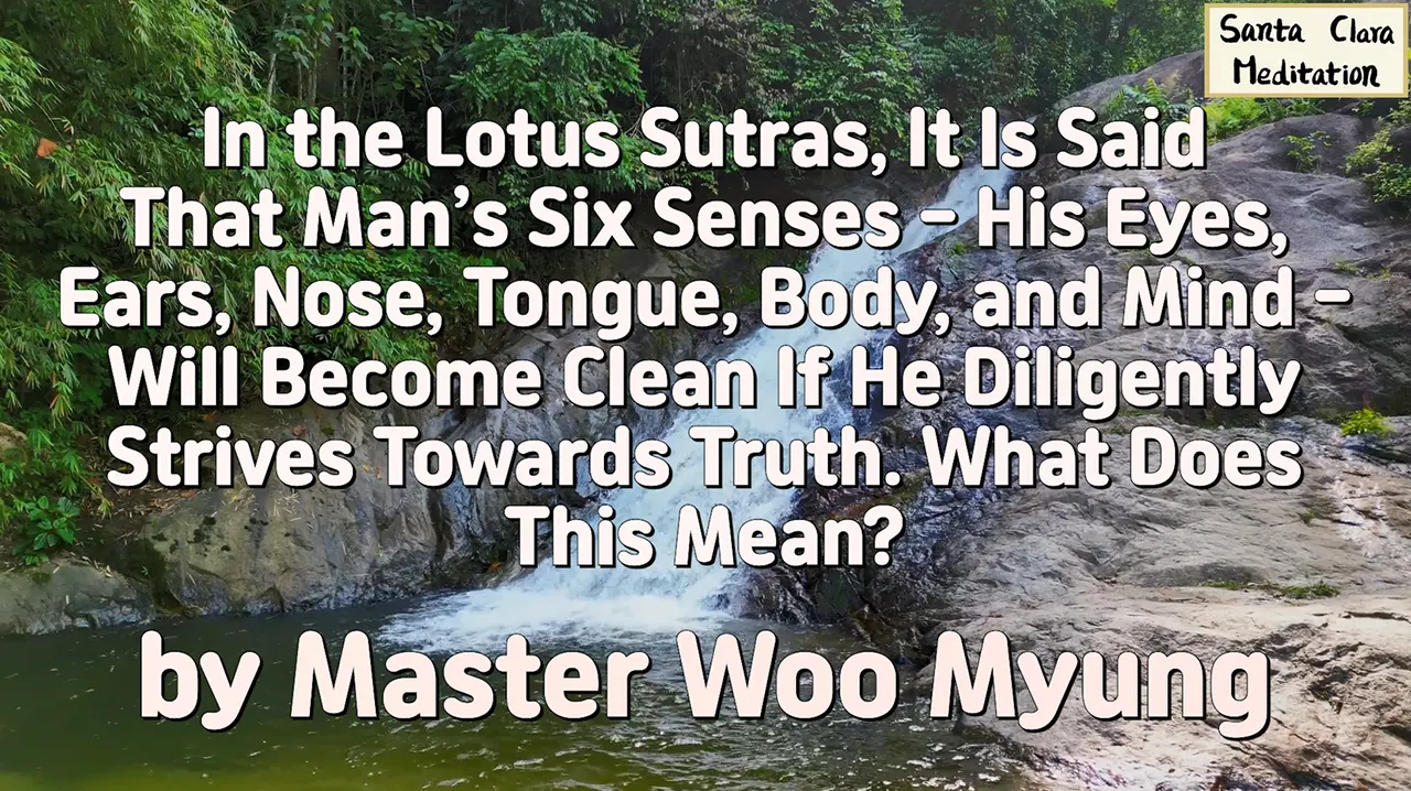 🌼 What It Means for the Six Senses to Become Clean – Master Woo Myung ...