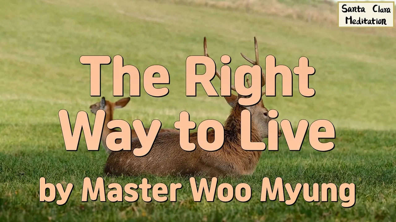 ☀️ The Right Way to Live: peaceful living through detachment and Truth