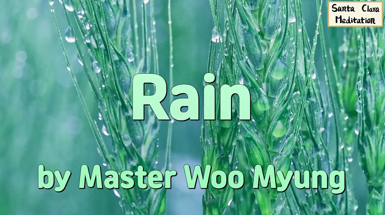 Rain: Master Woo Myung on the Unchanging Truth Behind Fleeting Life