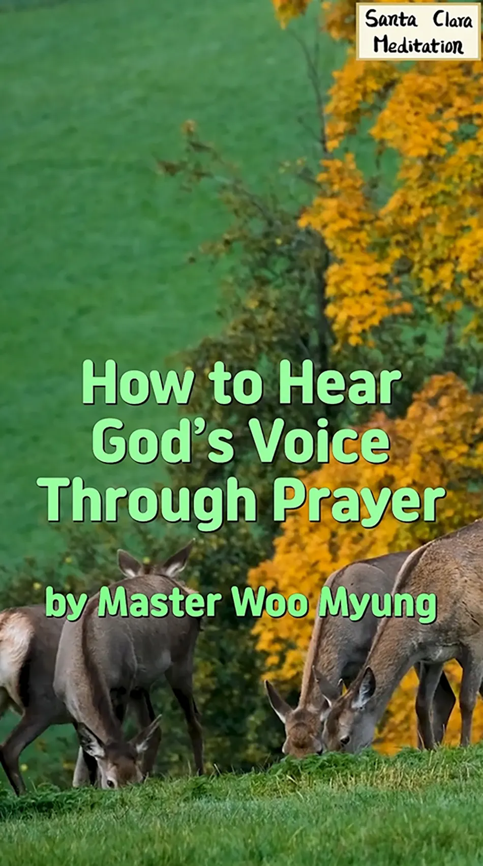 🙏 How to Hear God’s Voice Through Prayer: Repentance, Absolution, and ...