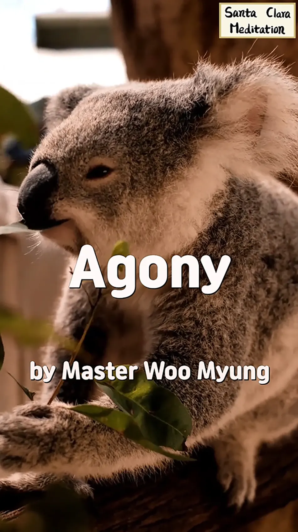 🌑 Agony: How the Self Creates Burdens and How to Be Free