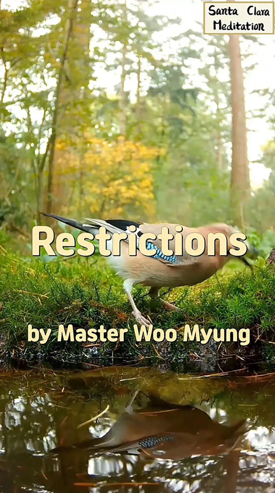 🔒 Restrictions: Karma, Burdens of the Mind, and the Path to Liberation ...