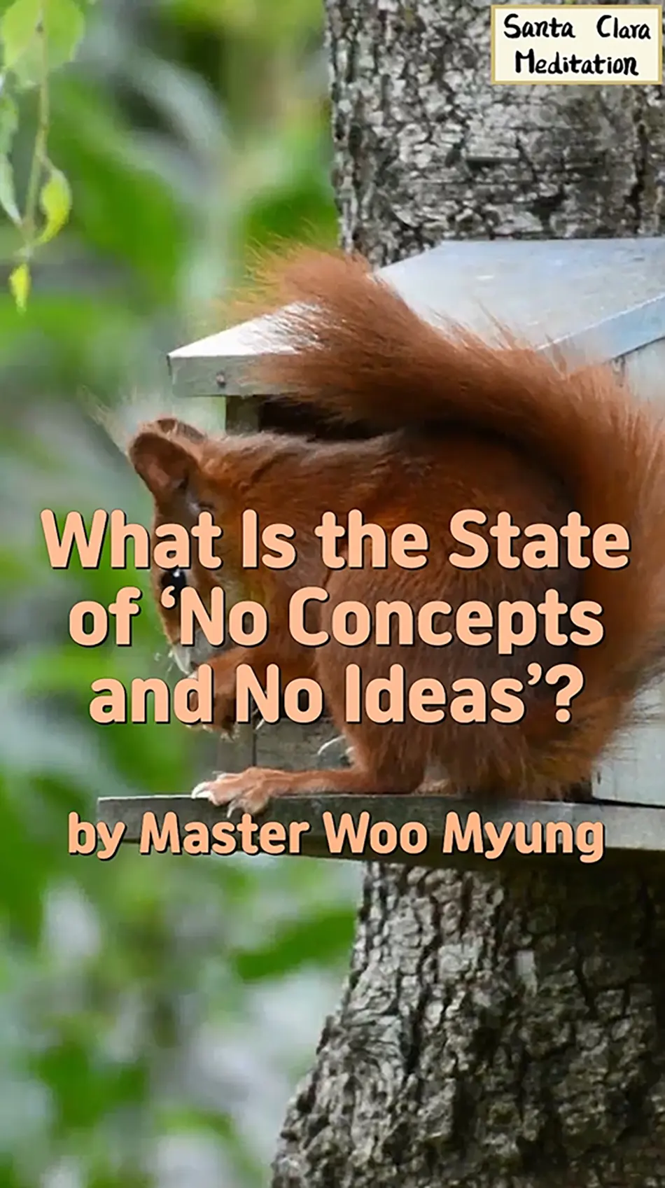 🕊️ The State of No Concepts and No Ideas: Living Without Self in Daily Life