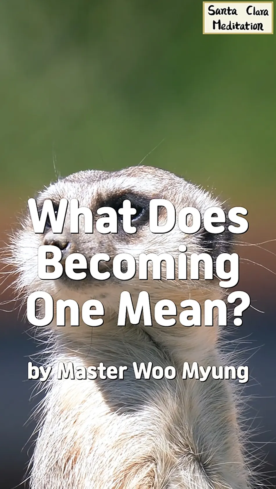 🌍 What Does Becoming One Mean? The Peaceful Unity of All Things