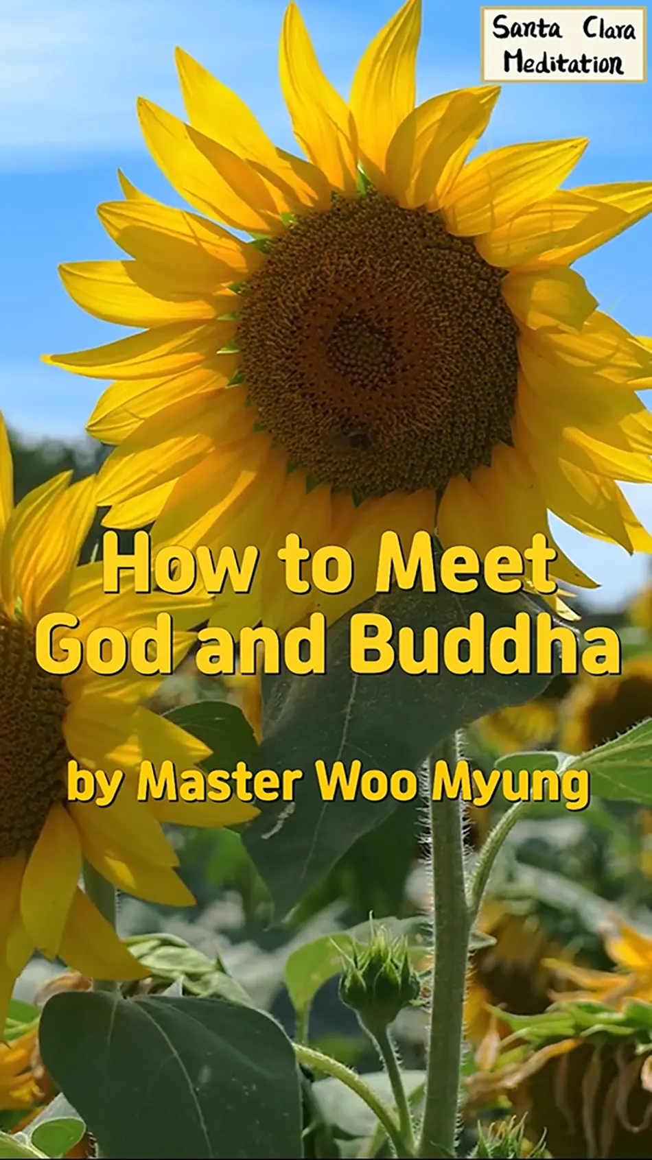 🙏 How to Meet God and Buddha: Cleansing the Mind to Reveal Truth