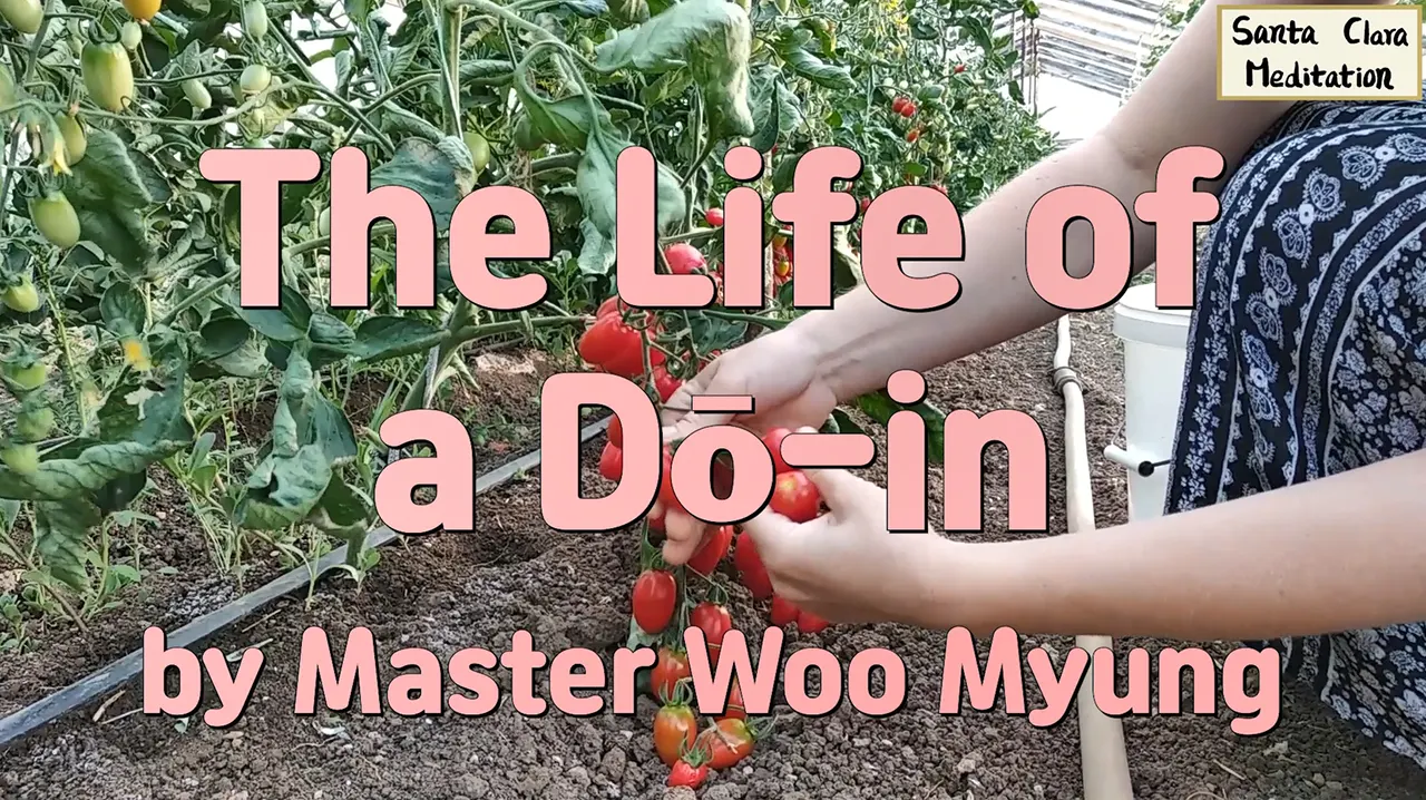 🌿 The Life of a Dō-in: Beyond Appearances, Becoming One with Truth, God ...