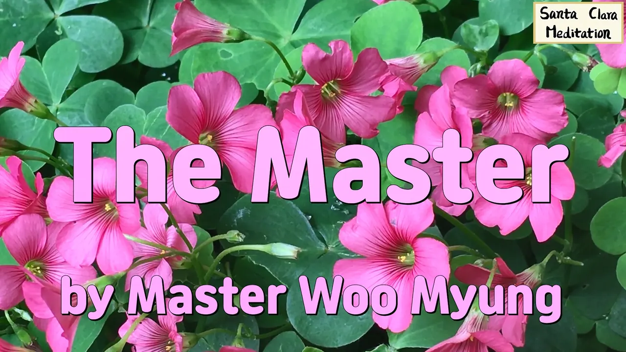 🌄 The Master: Becoming One with the Universe