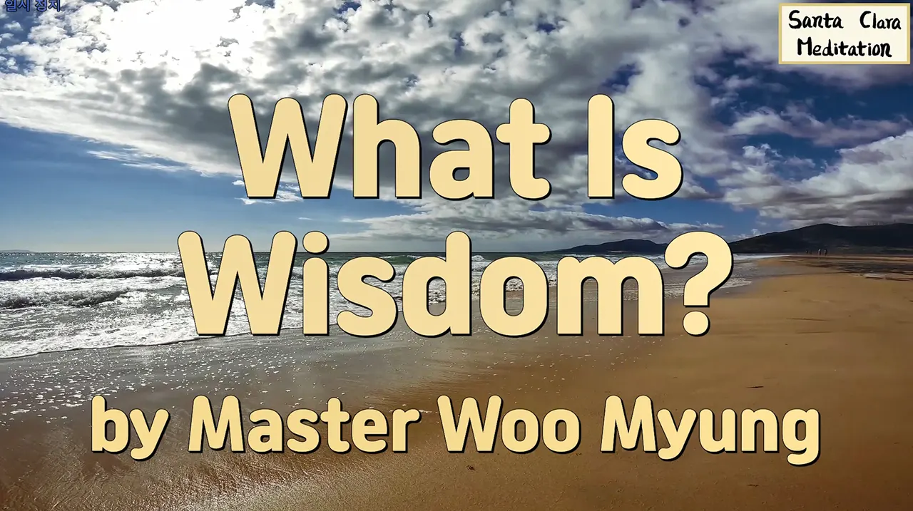 🌞 What Is Wisdom?