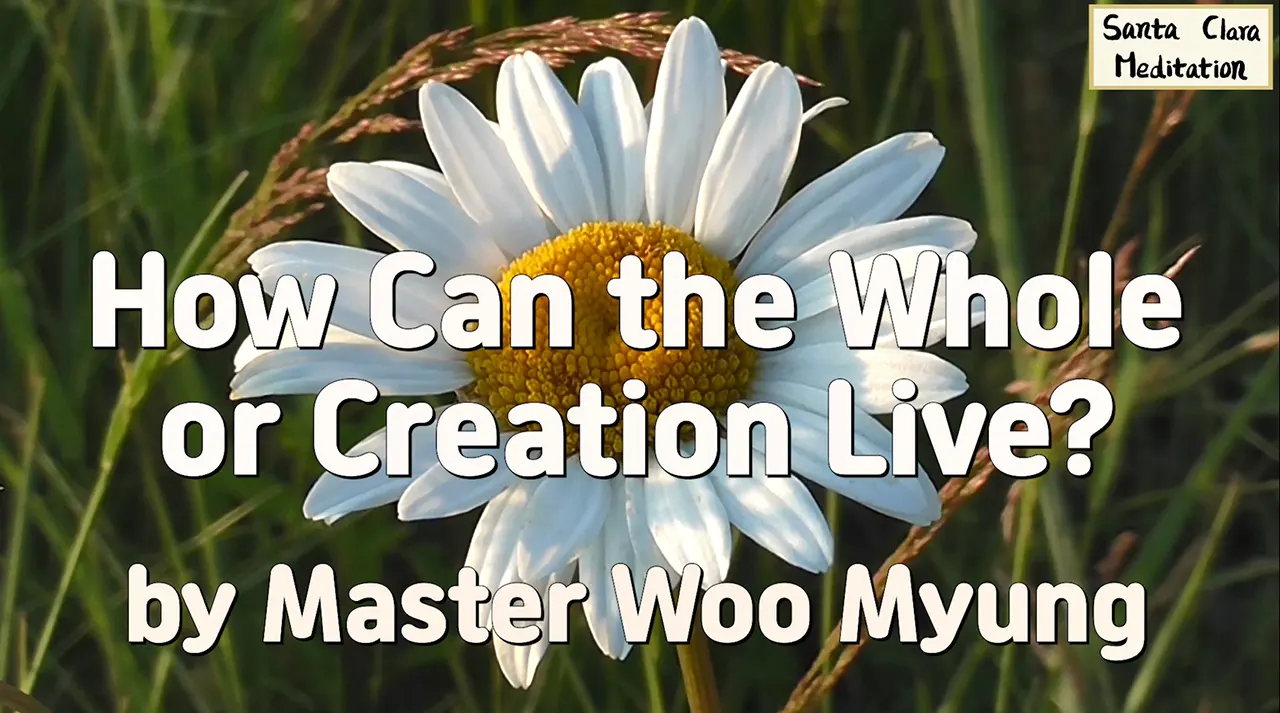 🌅 How Can the Whole of Creation Live?: Consciousness, Oneness, and ...