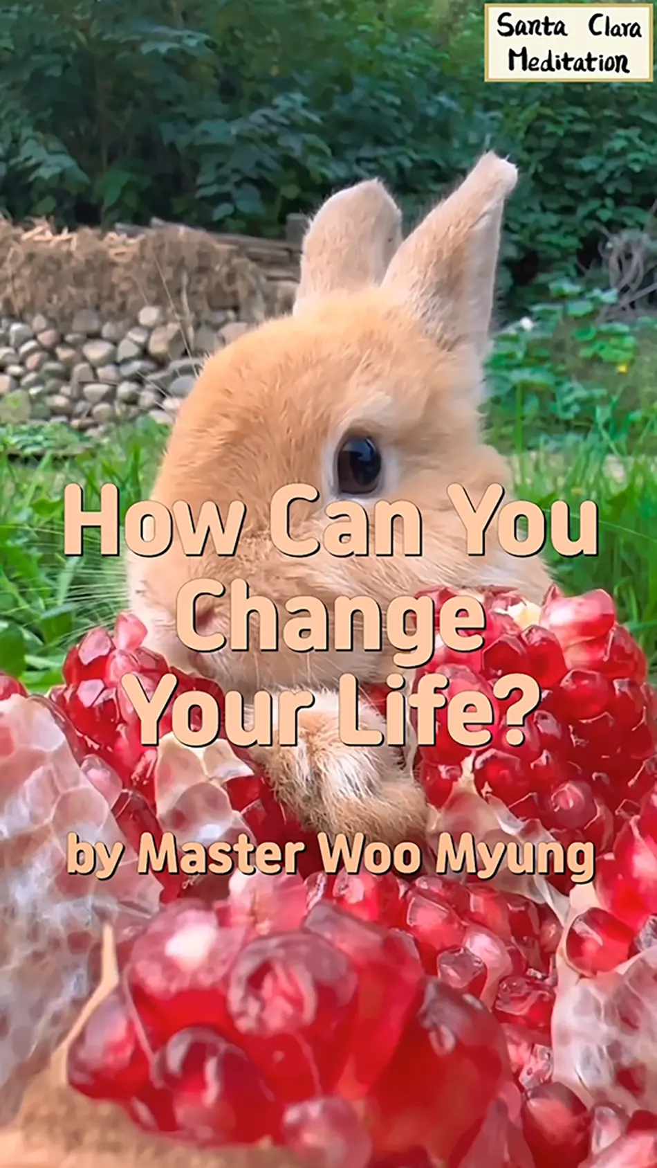 🌟 How Can You Change Your Life? Transforming the Mind into Truth