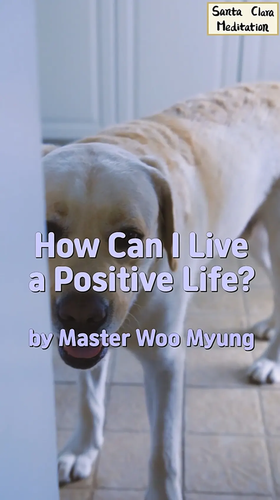 🌞 How Can I Live a Positive Life?