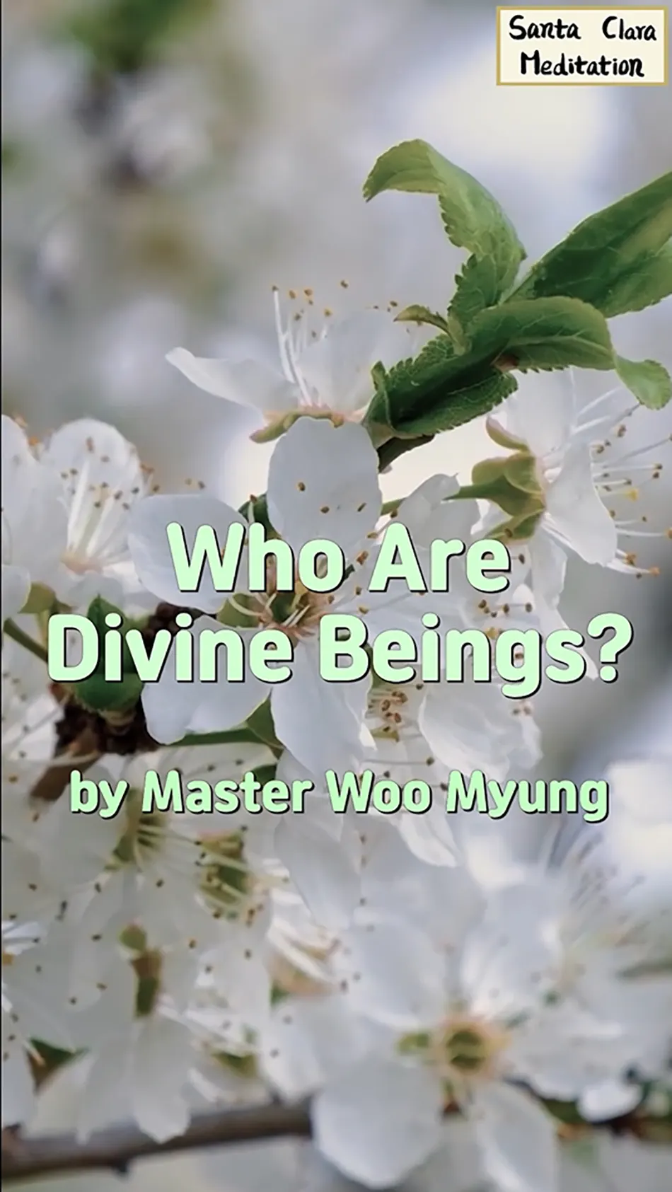 Who Are Divine Beings?