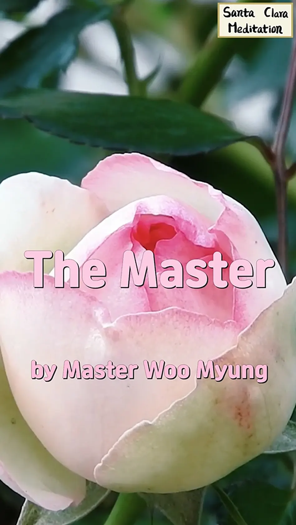 🌟 The Master: The Mind That Embraces the Universe