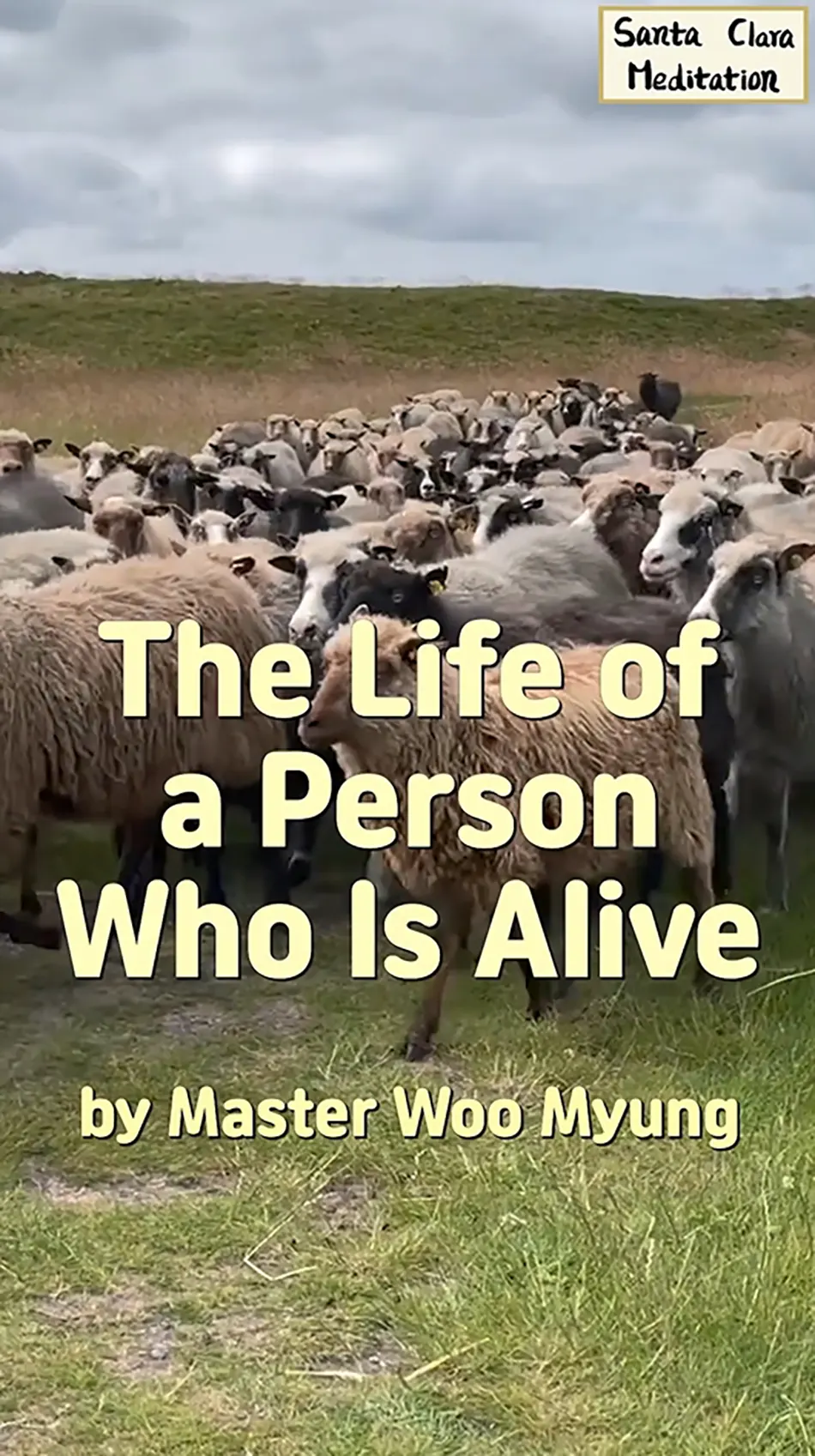 🌞 The Life of a Person Who Is Alive: Living as Truth