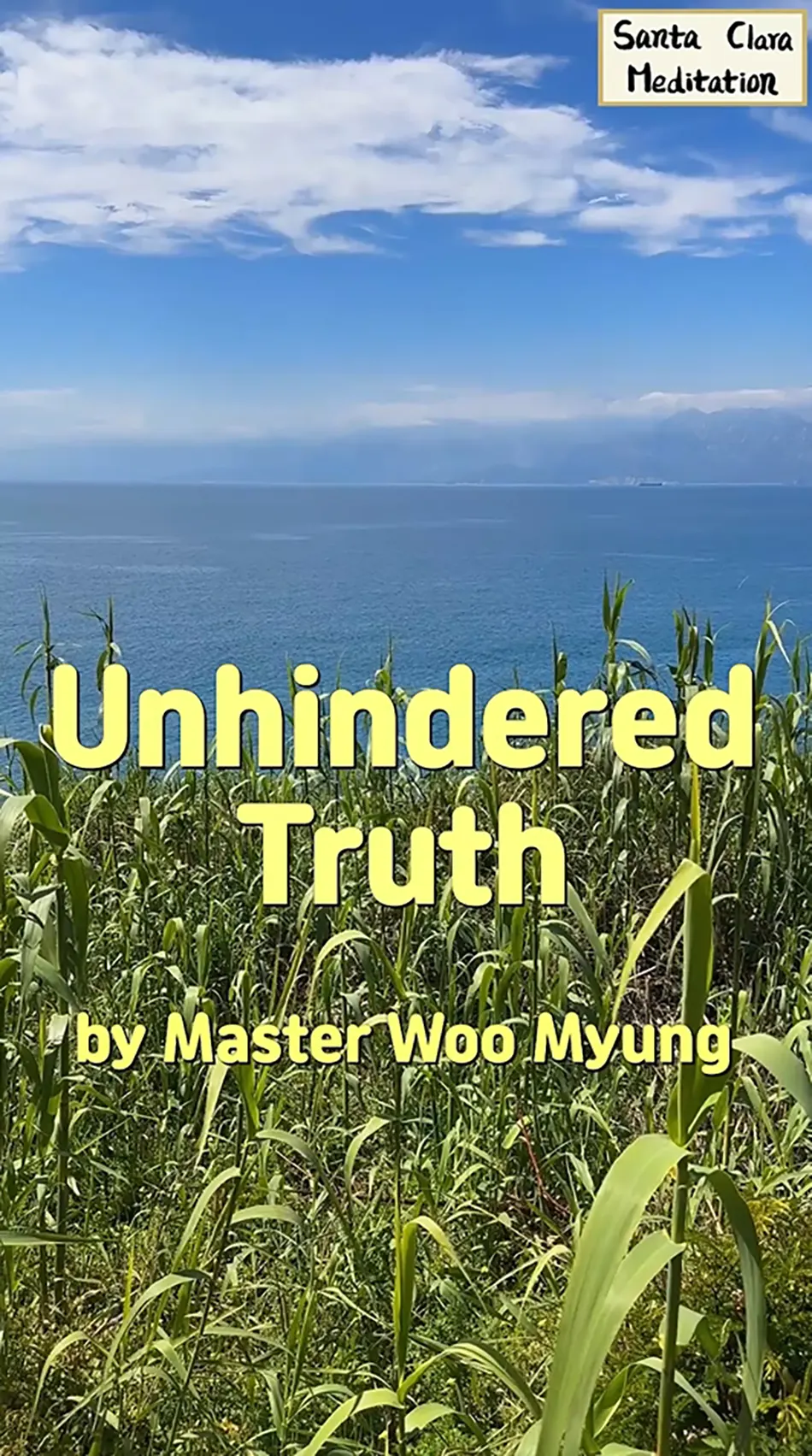 🌿 Unhindered Truth: Letting Go of Self to Stand in Truth