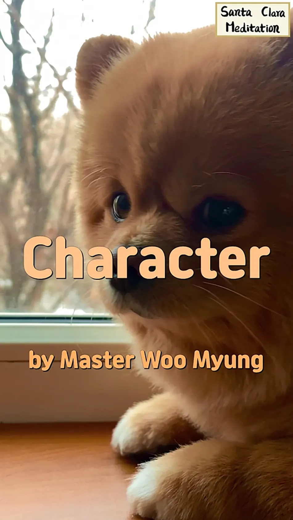 🌟 Character: Beyond Self and True Goodness